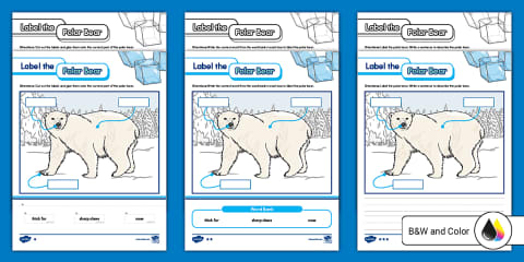 Early Childhood Label the Polar Bear Cut and Paste Worksheet