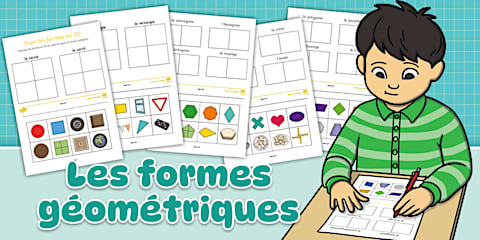 2D Shape Sorting Activity French
