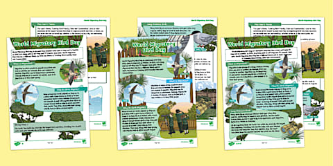 KS1 World Migratory Bird Day Reading Comprehension