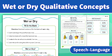 Clothing Vocabulary Builder Worksheets for SLP