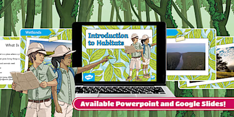 Animal Habitats Display Photo Cut-Outs