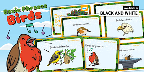 Foundation Phase English - Reading and Phonics - Reading and Viewing ...