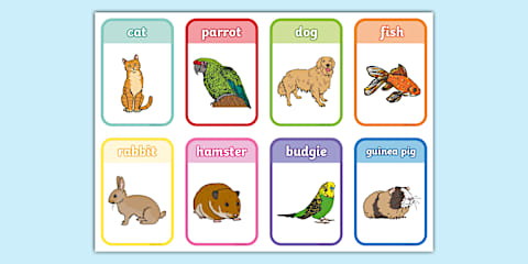 Originals First Words Flashcards: Pets