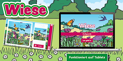 Lightning Languages | French | Lift Off | School | Interactive Sentence ...