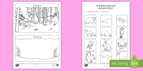 Animal Habitats PowerPoint - English/Mandarin Chinese/Pinyin