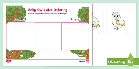 Owl-Themed 2D Shape Matching Activity