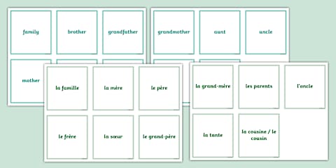 French Family Vocabulary Flashcards