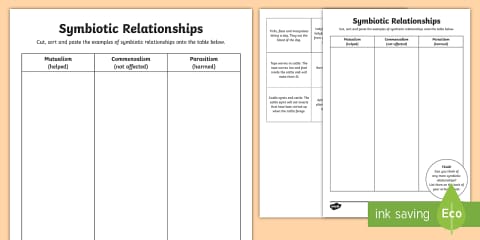 Symbiotic Relationships Worksheet