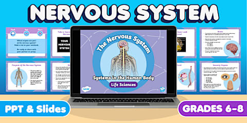 Parts of the Brain PowerPoint & Google Slides for 3rd-5th Grade