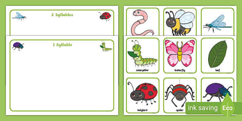 Make Your Own Minibeast Mini Booklet