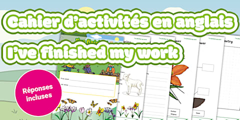 Cartes flash : Vocabulaire alimentaire - Anglais LV