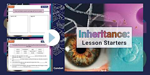 Inheritance PowerPoint