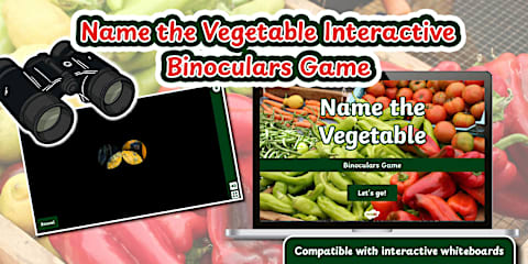 Food Groups Interactive Game