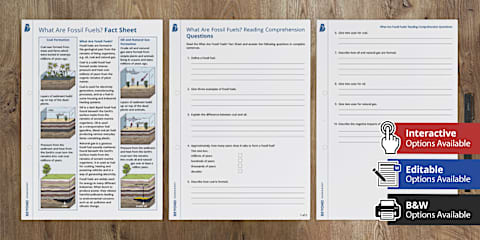 Formation of Coal Sequencing Worksheet