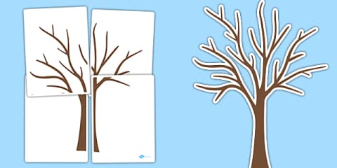 Printable Tree Branch Template | Primary Resource | Twinkl