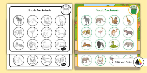 Zoo Animal Matching Game