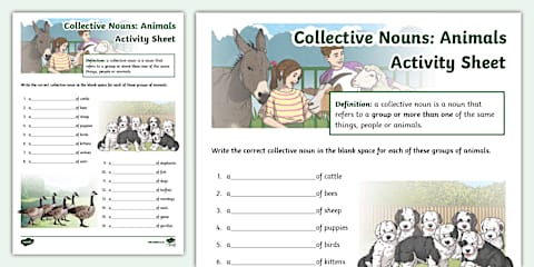 Collective Nouns Word Search