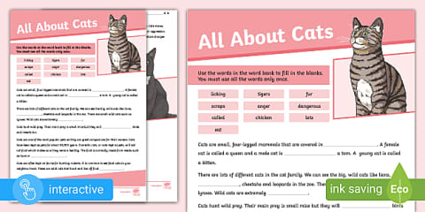All About Animal Habitats Activity Booklet for PreK-K