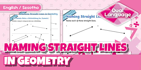 Grade 7 Maths - Term 3 - Match the 3D Object Nets Worksheet - Sesotho ...