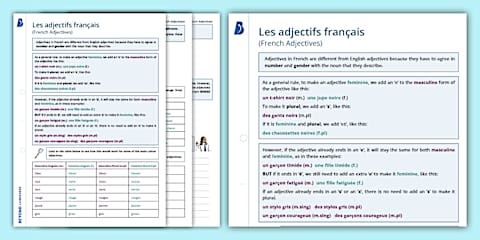 Adjectives Worksheet French