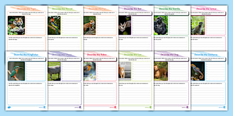 Adjective Chart Word Mat