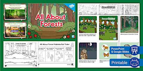 Build a Forest Habitat Cut and Paste Worksheet for PreK-K