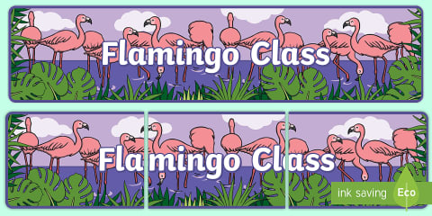 Flamingo-Themed Display Borders