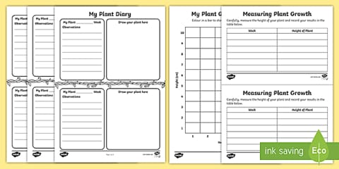 My Diary of a Bean Plant Booklet Template