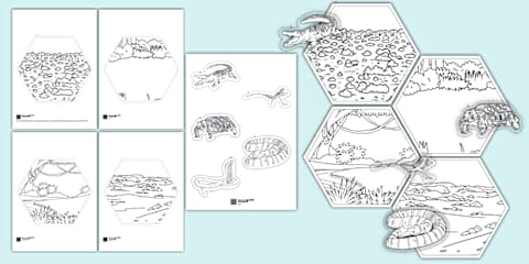 Foundation Phase Creative Arts Reptiles Hexagon Display Colouring Activity (CAPS Aligned)