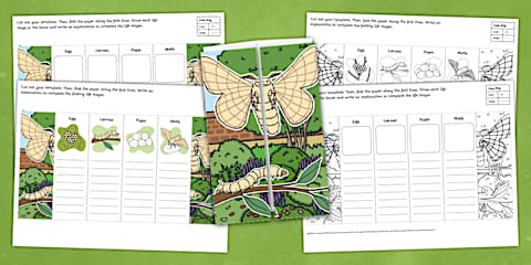 Grade 3 Life Skills Term 2 Dragonfly and Damselfly Comparison Mind Map ...