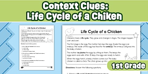 Precipitation: First Grade Non-Fiction Context Clues Worksheet