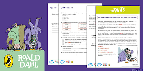 The Twits: Mr Twit's Beard Activity Sheets