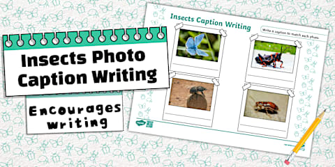 Foundation Phase Home Language - Writing Prompt: Stretch the Cactus ...