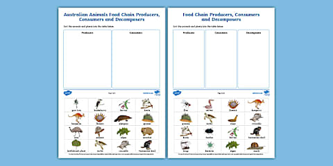 Producers, Consumers and Decomposers Sorting Activity