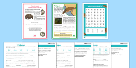 Parts of a Platypus Worksheets