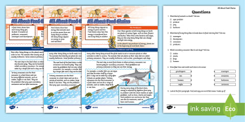 UKS2 All About Food Chains Reading Comprehension Activity