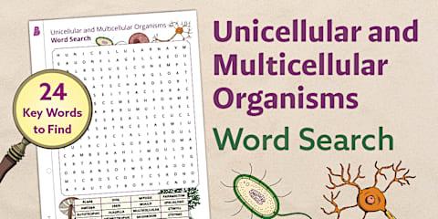 Cell Vocabulary Word Search for 6th-8th Grade