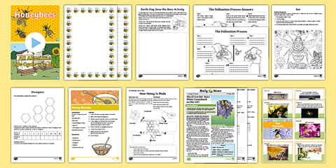 Busy Honeybees Reading Comprehension