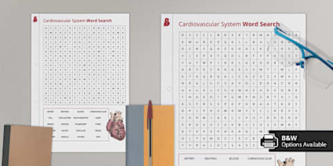 Heart Labelling Activity