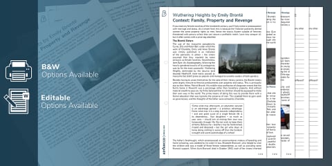 'Wuthering Heights' Plot Summary Comprehension