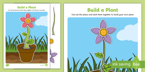 Plants and Growing: Messy Activity Tray