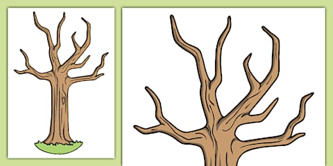 Printable Tree Branch Template | Primary Resource | Twinkl