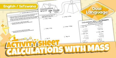 Grade 4 Maths - Term 3 - Fractions Revision Summary 2 - Poster ...