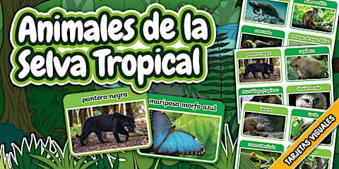 Pósters: animales de la jungla