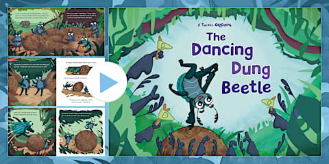 All About Dung Beetles Information PowerPoint
