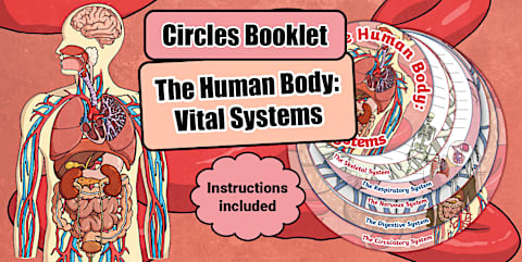 Human Body Systems: Display Posters