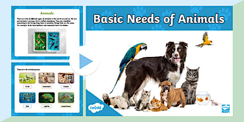 Sort Animals By Their Needs Worksheet