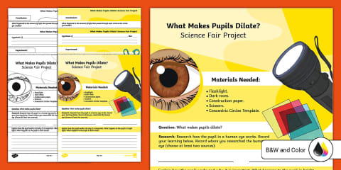 Science Experiment Observation Worksheet for 3rd-5th Grade