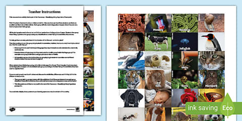 Classification of Living Organisms Card Sort