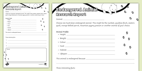 Endangered Australian Animals Differentiated Worksheets